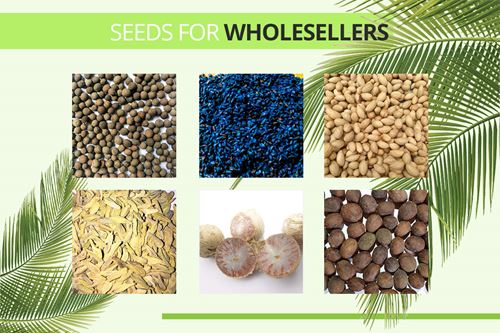 seeds in madagascar. Company dealing palm and succulent seeds of ...